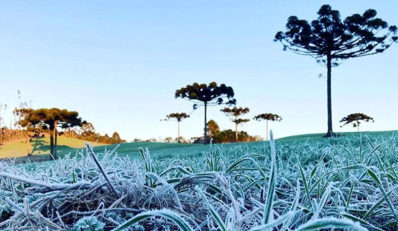Geada no radar: Paraná pode registrar temperaturas de -2°C; veja quando ...